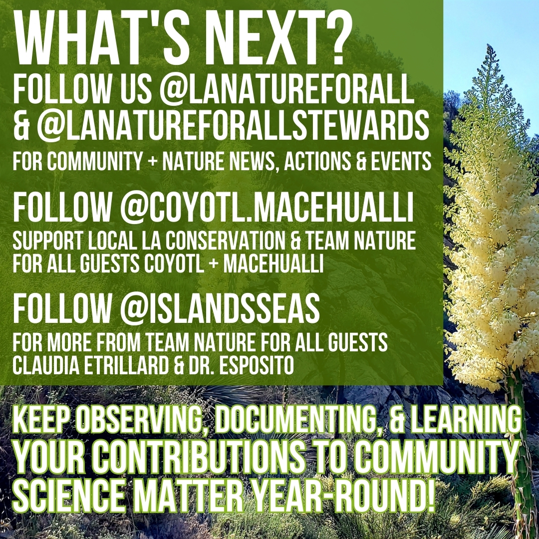 City Nature Challenge 2021 – Nature for All